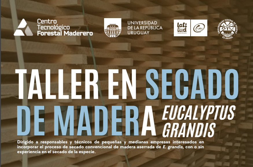 Taller en Secado de Madera en Eucalyptus Grandis | Sede Tacuarembó ...